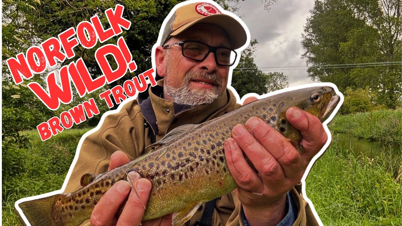 Wild Norfolk Chalk Stream Fly Fishing - YouTube