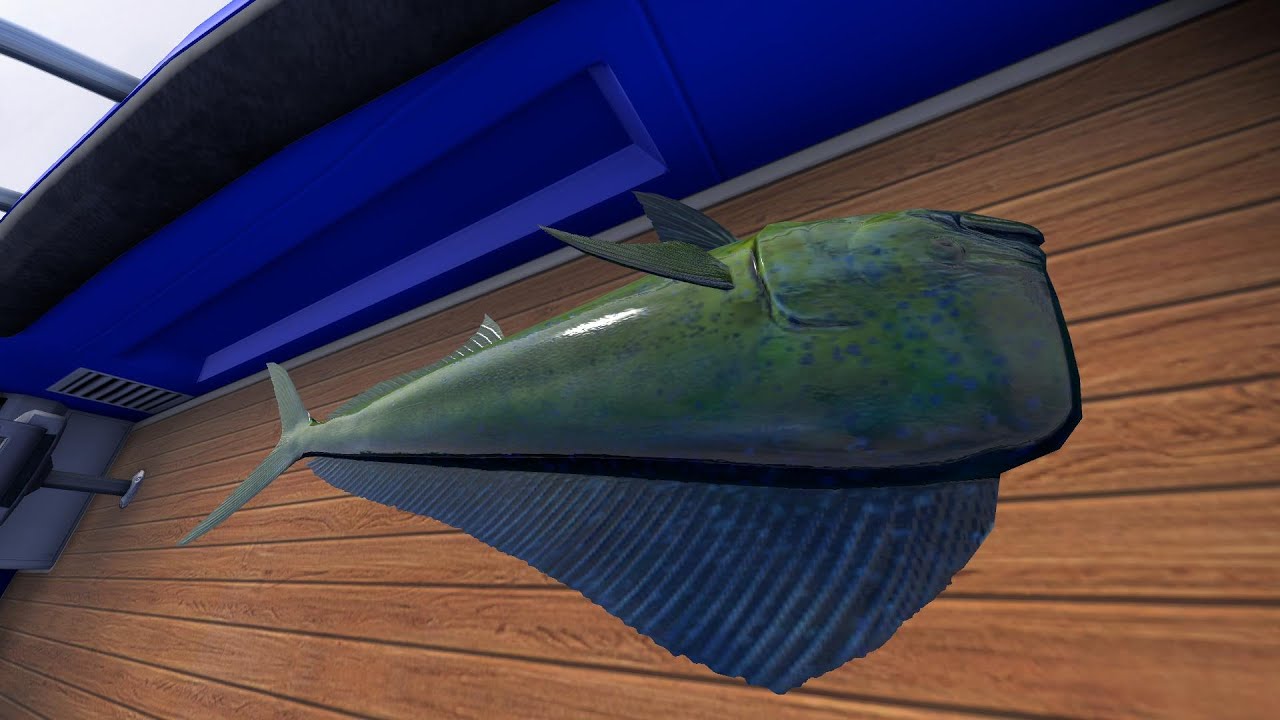 how to catch a mahi mahi on location 18 - YouTube