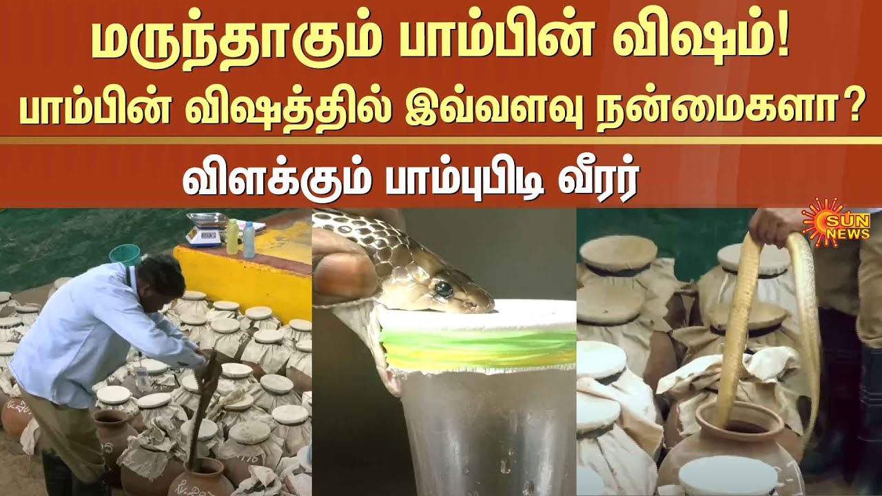 மருந்தாகும் பாம்பின் விஷம் | Snake venom | Snake Park | Medicine | Pain ...