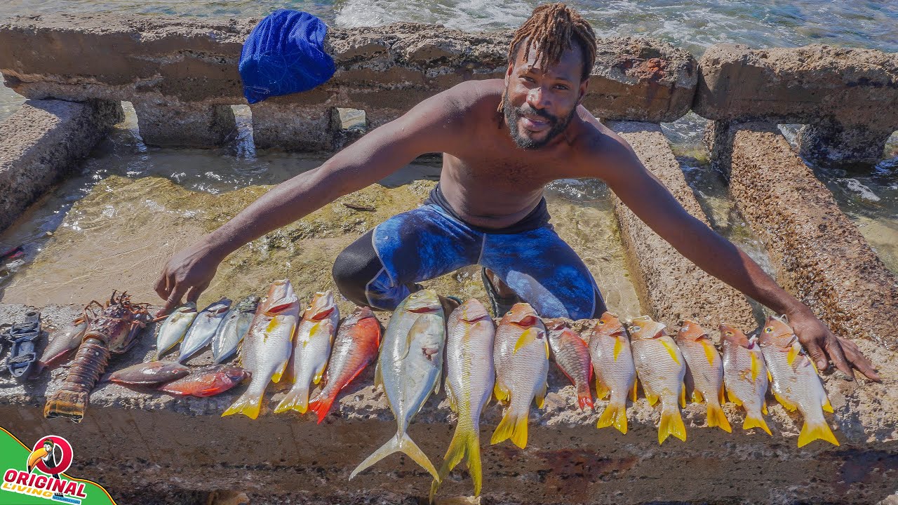 Fish For Days Over 40lb | Dog Snappers, jack, Yellow Tail Snapper - YouTube