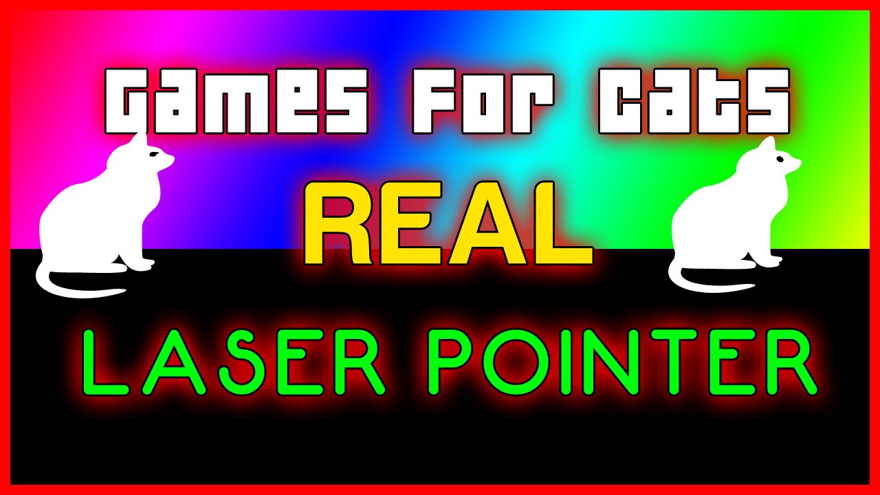 Cat Games on Screen : Real Laser Pointer - Video for Cats - YouTube