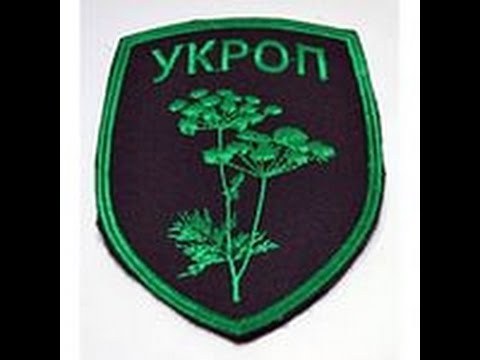 За что убили террориста Мозгового: на Украине НЕТ фашизма только бизнес! За правду!