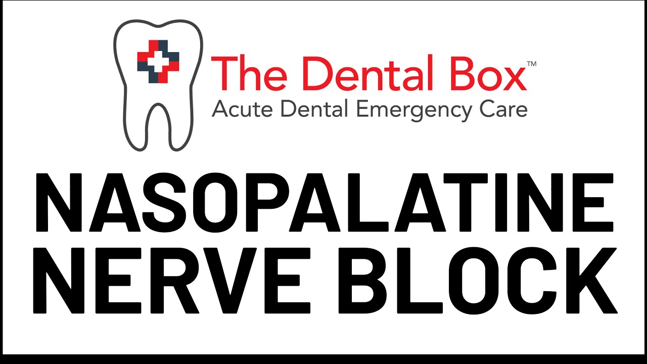 Dr. Malamed Instructional Video - Nasopalatine Nerve Block - YouTube