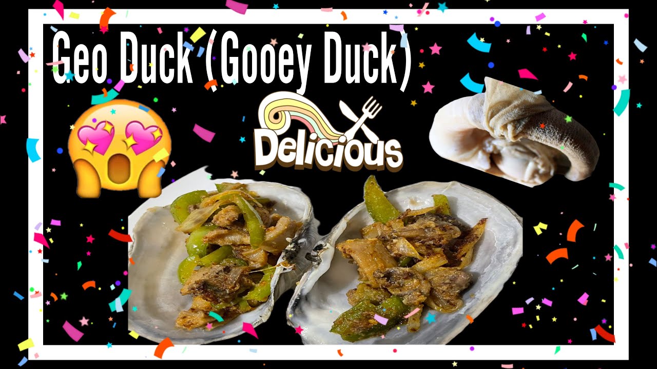 GEO DUCK (GOOEY DUCK) - YouTube