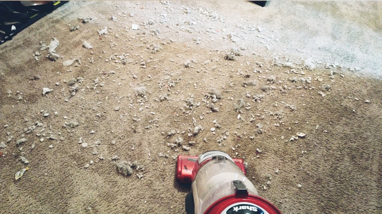 Quick Mess Test & Natural Vacuum - YouTube