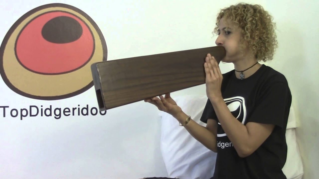 Compact Didgeridoo Box Natural Dark Sonokeling (TopDidgeridoo #02018 ...