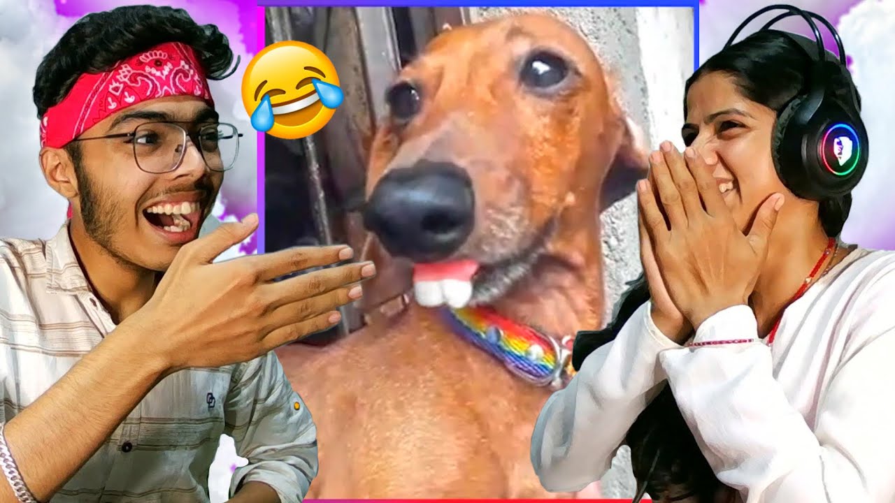 Try Not To Laugh 😂 Challenge 😅🔥 || WAIT for end 😂 || KSI || Funny Video ...