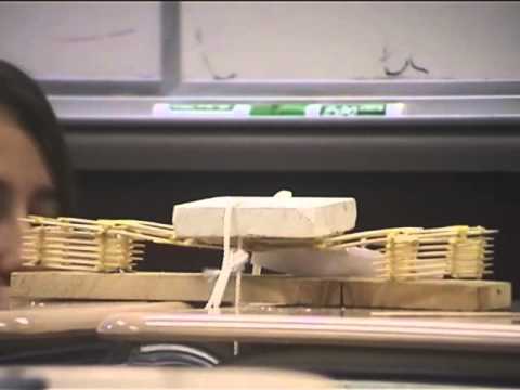 ToothPick Bridge Project Pt 1 - YouTube