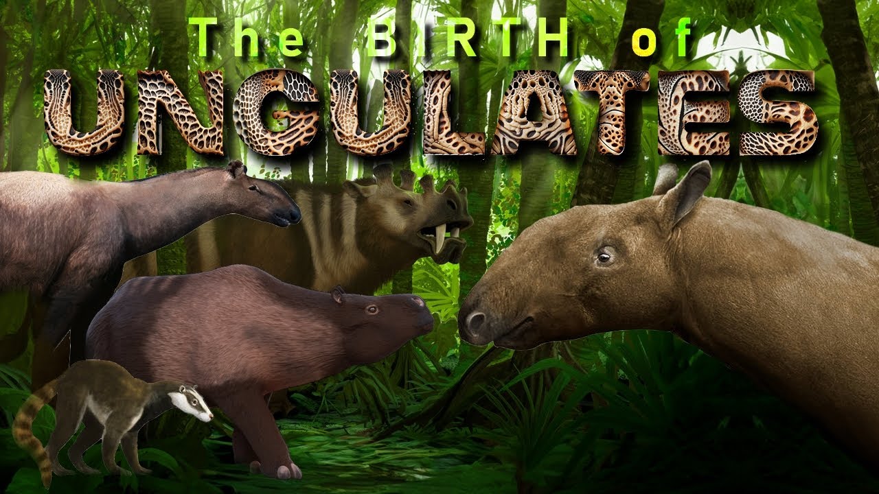Early Ungulates and Convergent Evolution - YouTube
