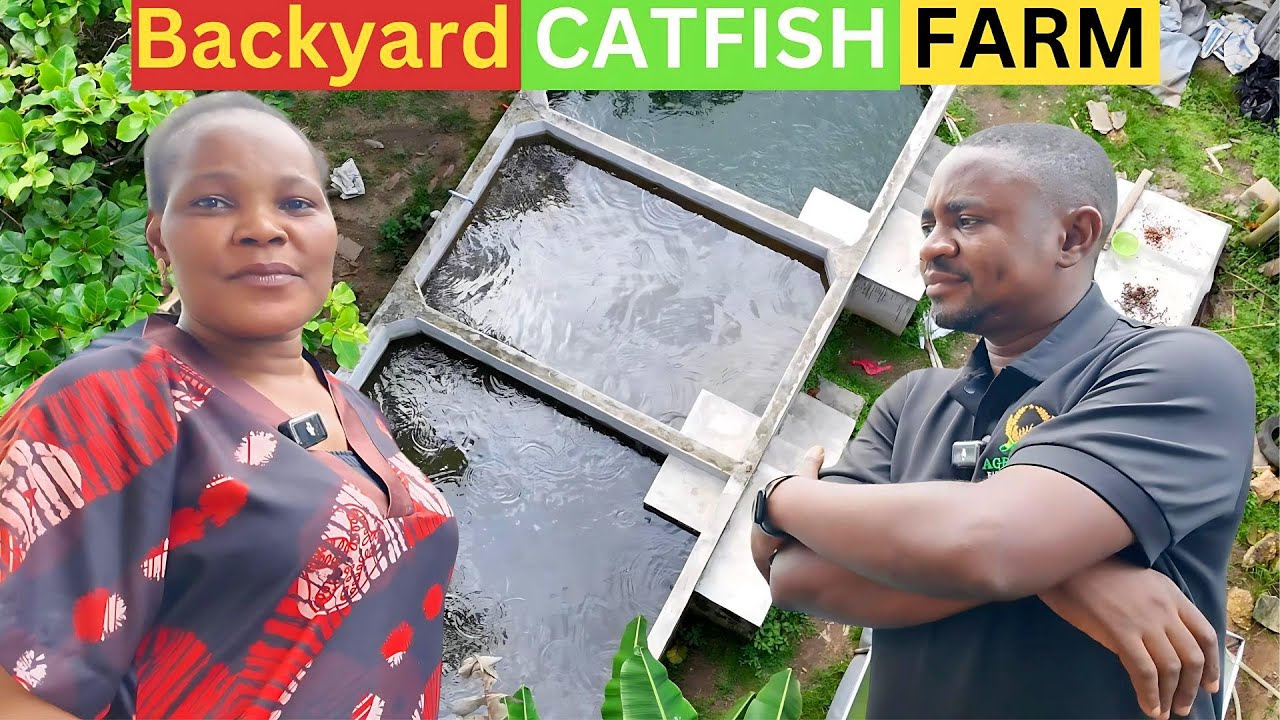 How She Built A Backyard Fish Farm - YouTube