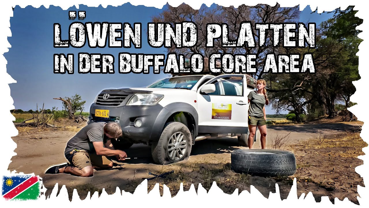 Löwen und Platten - Buffalo Core Area - Caprivi - Namibia #13 - YouTube