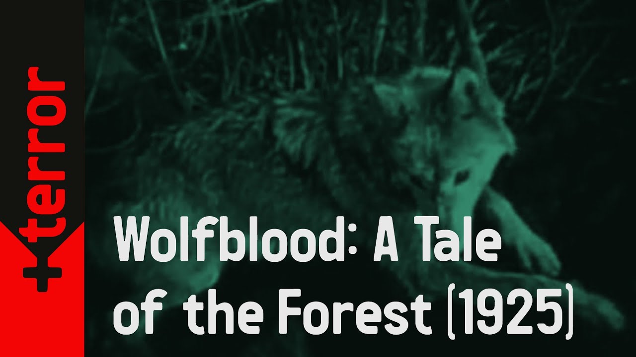 Wolfblood: A Tale of the Forest (1925) - YouTube
