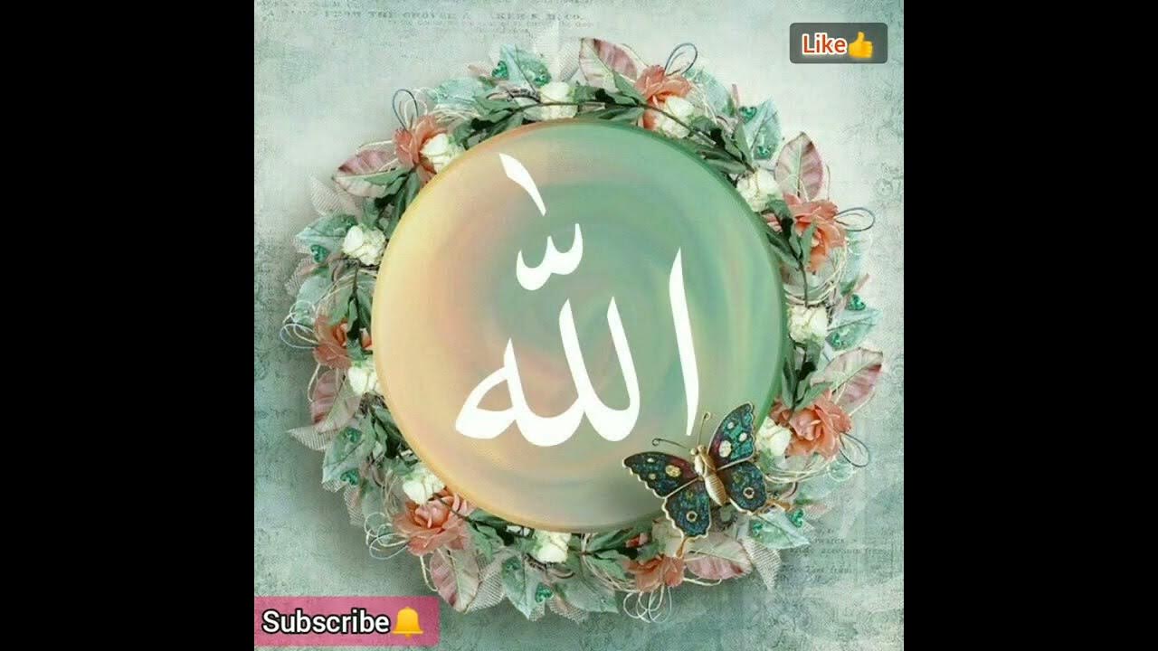NEW Beautiful%E2%9D%A4%EF%B8%8F%23ALLAH %23NAME %23DP For Whatsapp ...