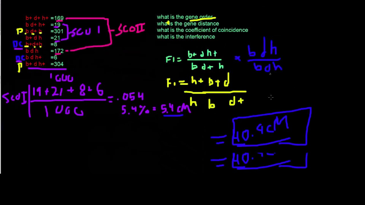 Genetics Triple Point Cross, Coincidence, Gene Distance (PART 1) - YouTube