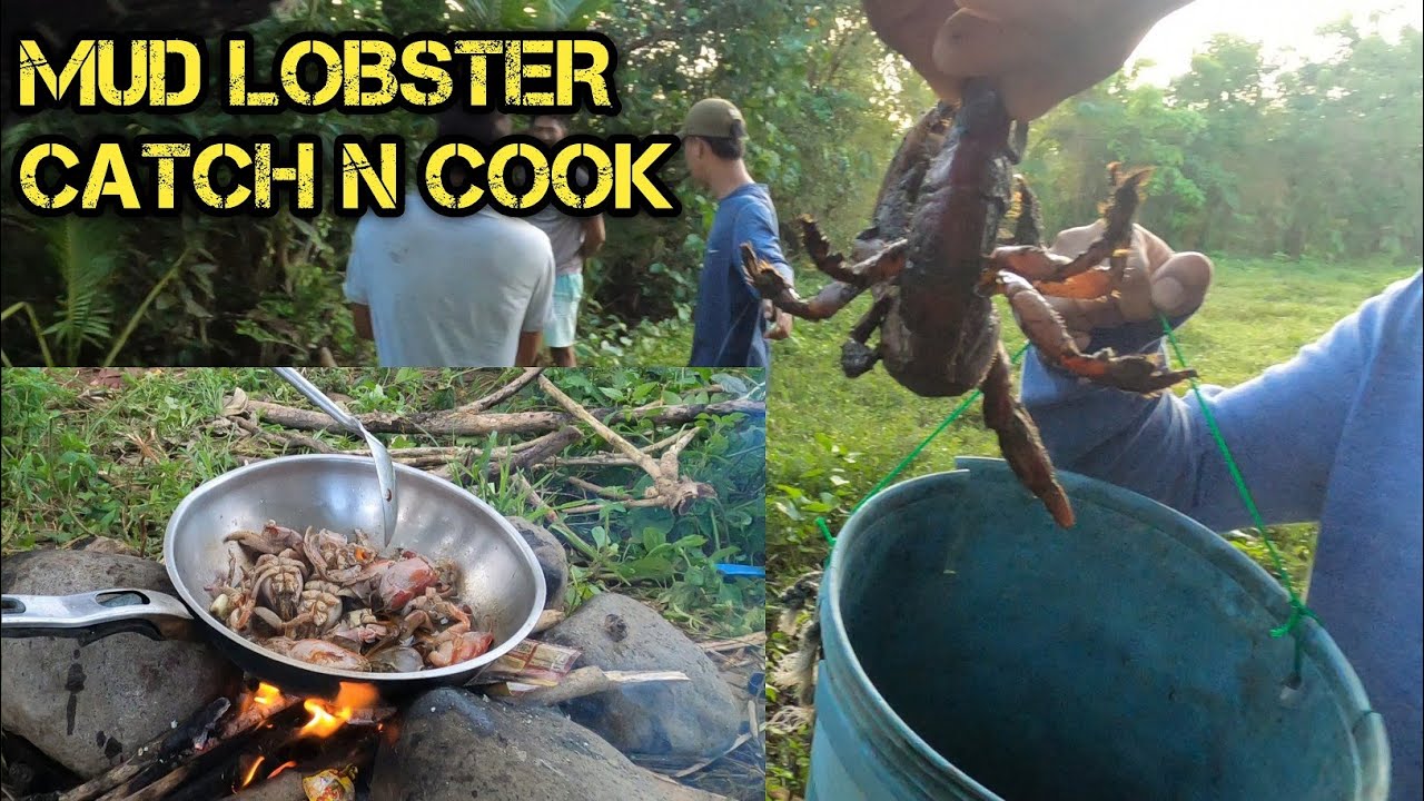 e231 Uson Uson | Mud Lobster hunting | Catch N Cook - YouTube