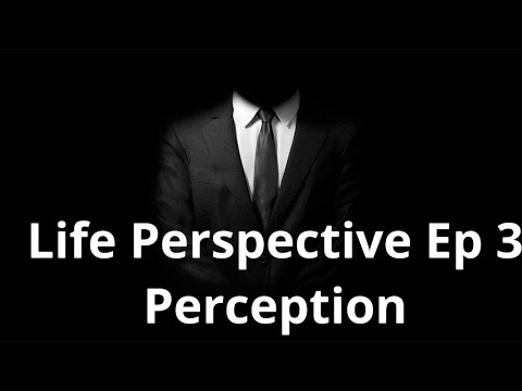 Life Perspective Episode 3: Perception - YouTube