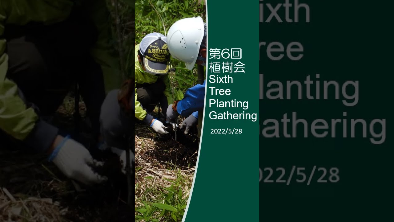 第6回植樹会 Sixth Tree Planting Gathering #Shorts - YouTube