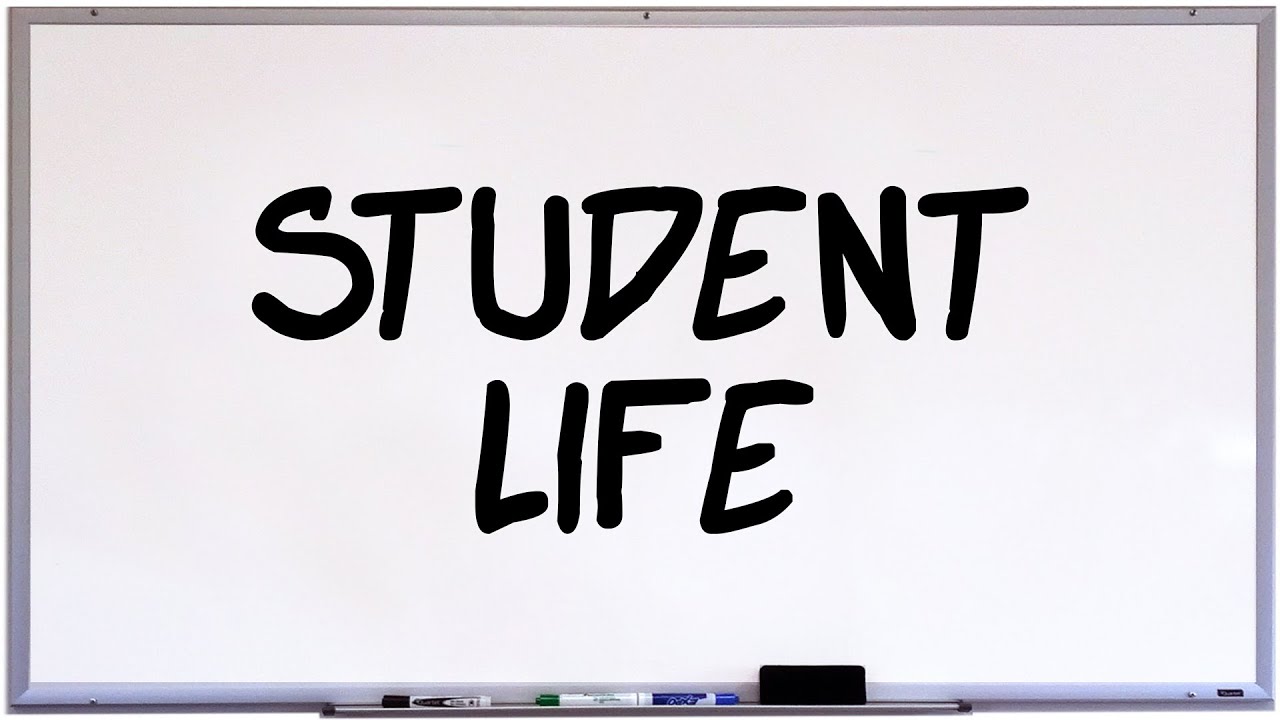 The Stages of the Student Life - YouTube