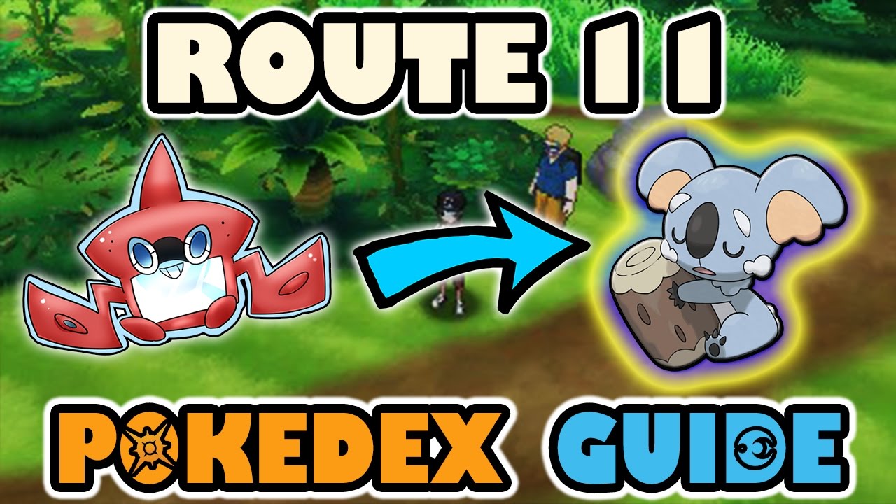 ROUTE 11 COMPLETE POKEDEX GUIDE - Pokemon Sun and Moon - YouTube