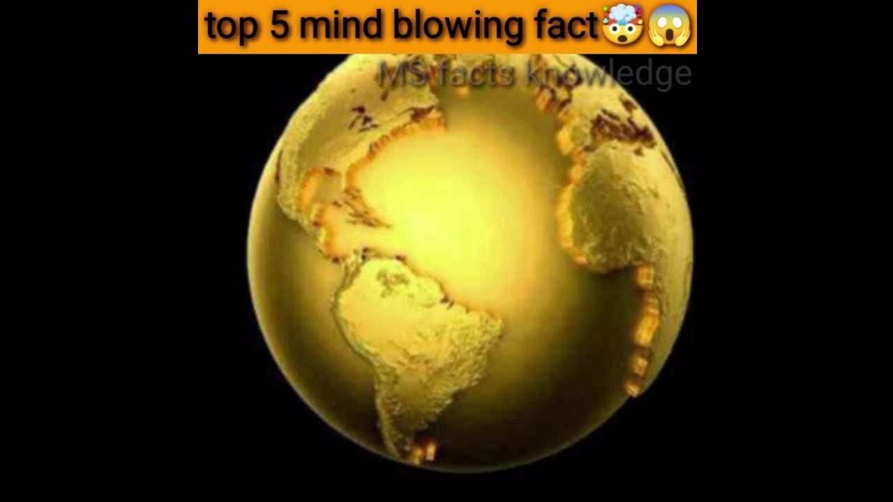 top 5 mind blowing facts #facts #facts in Hindi #amazing facts #shorts #MS facts knowledge - YouTube