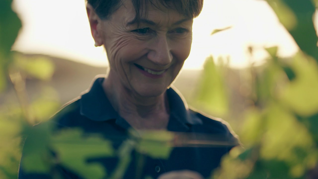 Stephanie Toole - Mount Horrocks Wines - Clare Valley - YouTube