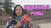 Ремонтантные сорта ежевики - YouTube