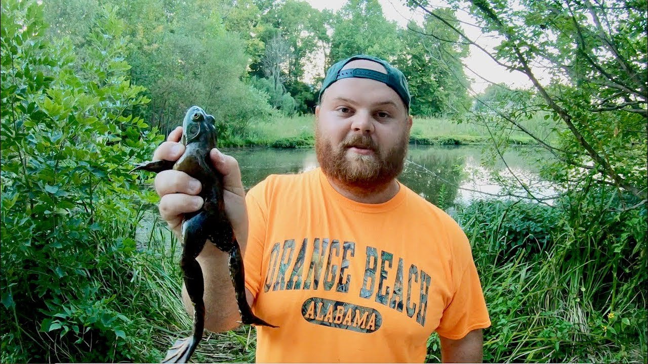Giant BULLFROG while Bass Fishing - YouTube