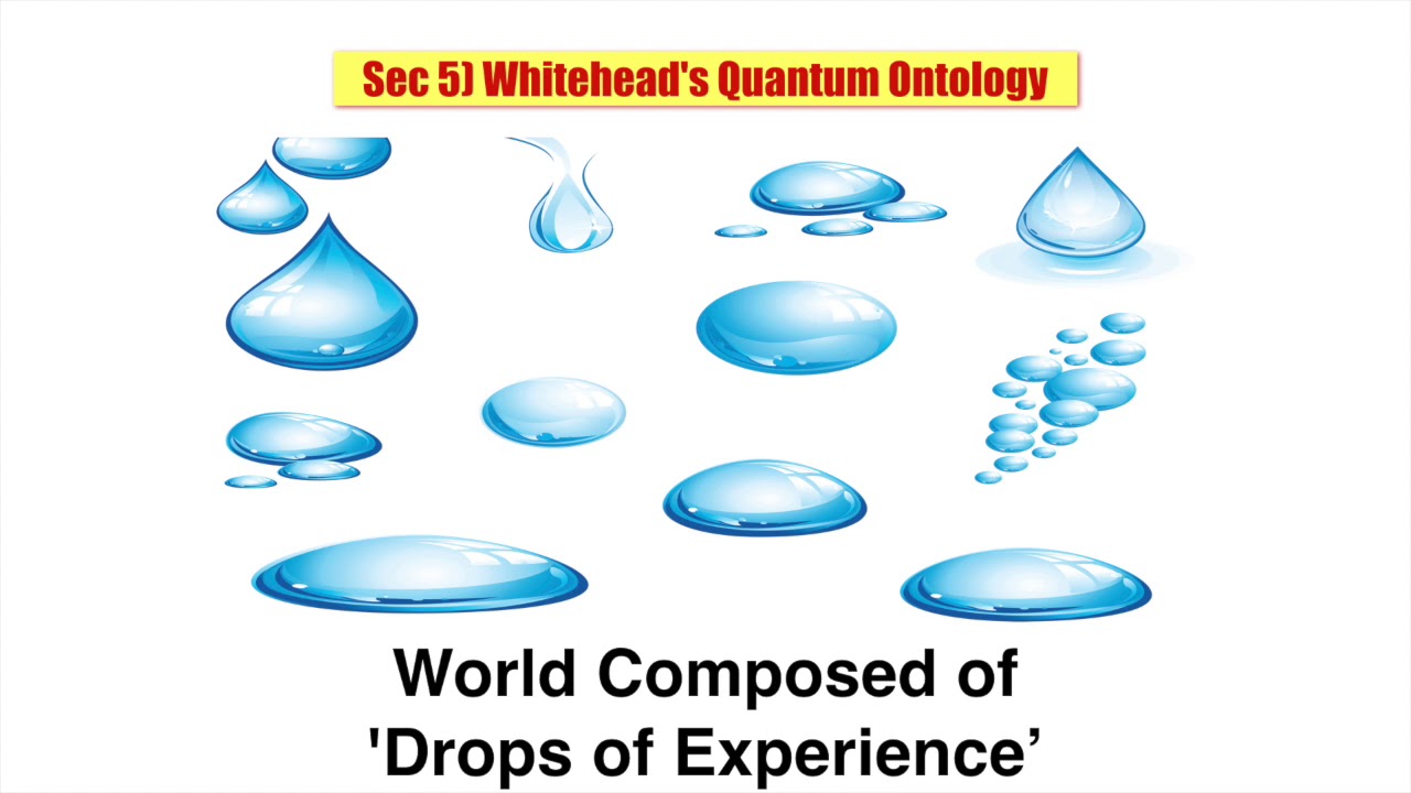 Sec 5 Whitehead's Quantum Ontology - YouTube
