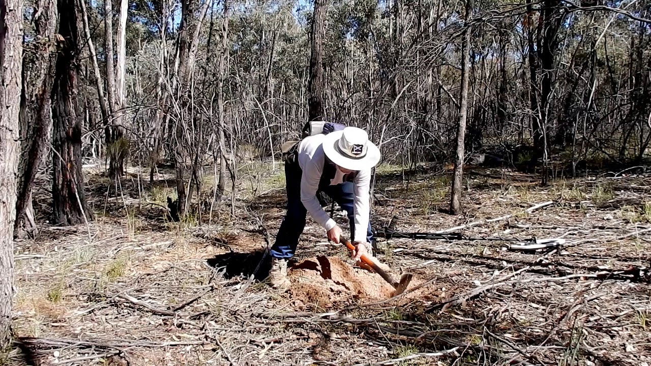 Gold Hunter 14 10 2017 at 16 00 Hours Australian time Prospecting - YouTube