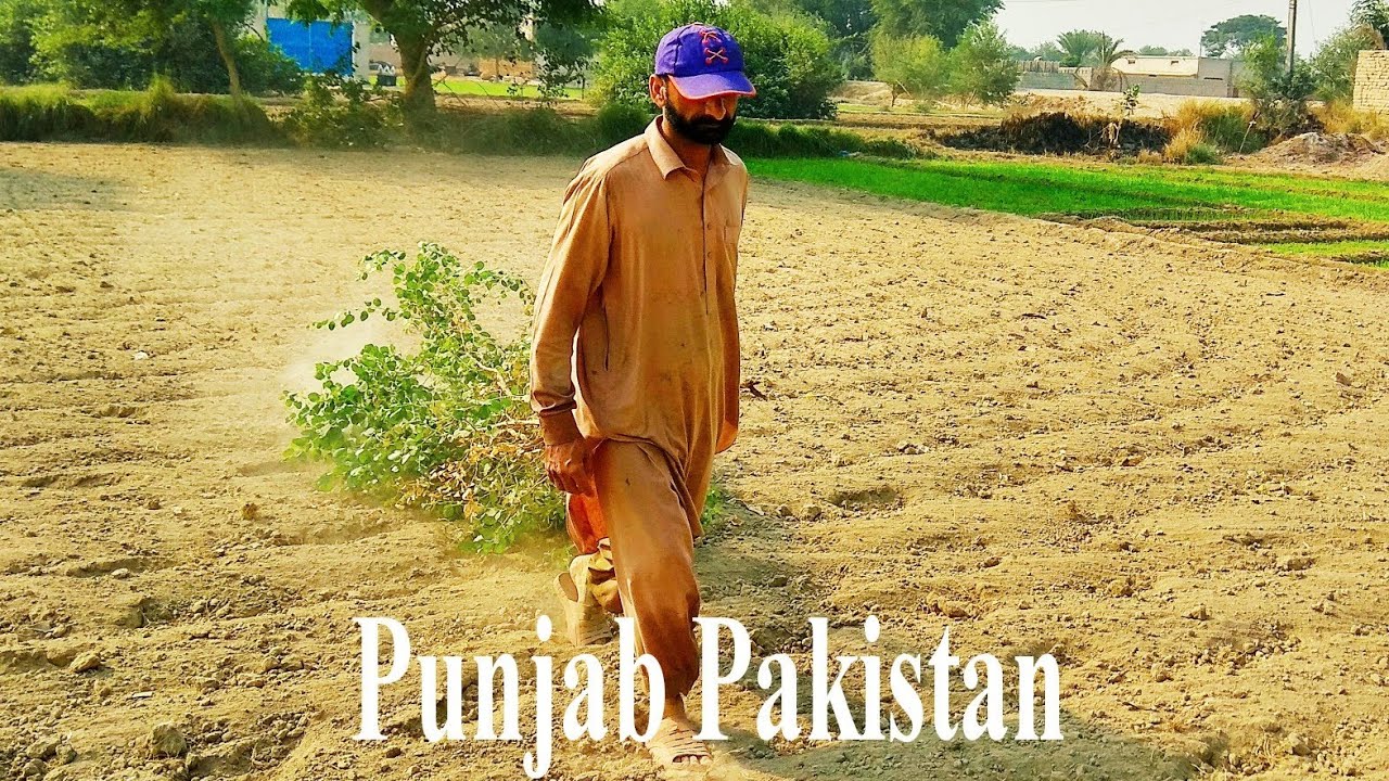 Man Working in the field | Agriculture In Pakistan | Pakistani Village ...