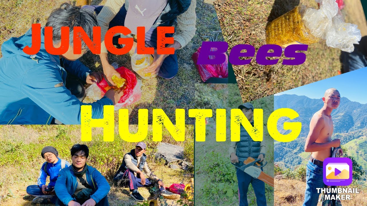 Bees 🐝 honey hunting in jungle मौरि काध्न गएको जङ्ल मा मौरि ले तोक्यो 🥵 ...