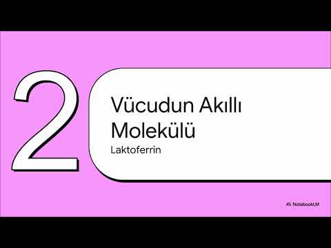 Ben Her Şeyi Denedim Diyorsan Dur!
