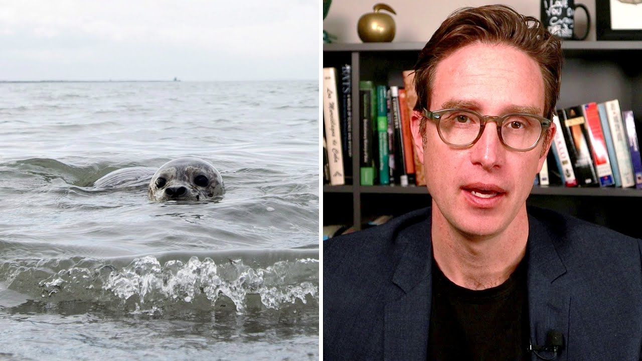 Dan Riskin on how well Canada is protecting coastal wildlife - YouTube