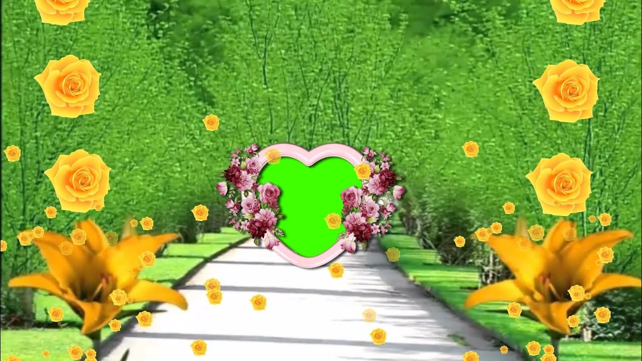 wedding green screen background video - YouTube