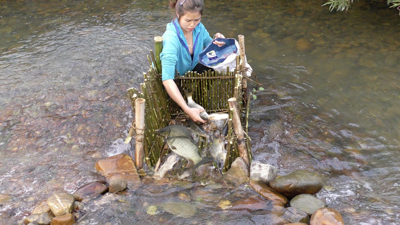 Hunting wild fish, Building a fishing net system - Fishing techniques ...
