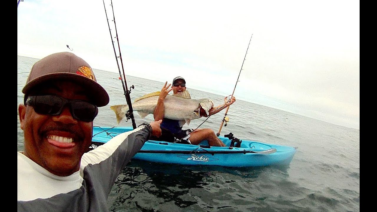got fish? - YouTube