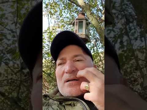 Rabye bouden - طبيب الأسنان ناكلي أسناني