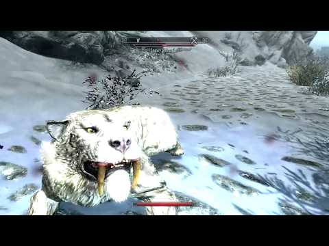 Sparing the Sabre Cats life - Skyrim