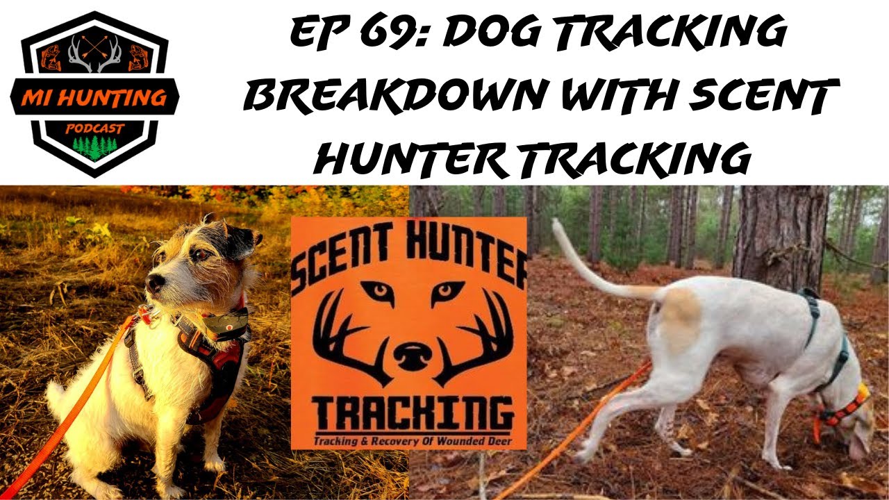 Ep 69: Dog Tracking Breakdown With Scent Hunter Tracking - YouTube