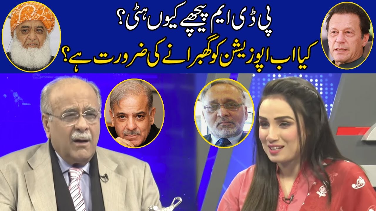 Govt Appoints Musaddiq Abbasi As Accountability Adviser | Najam Sethi ...