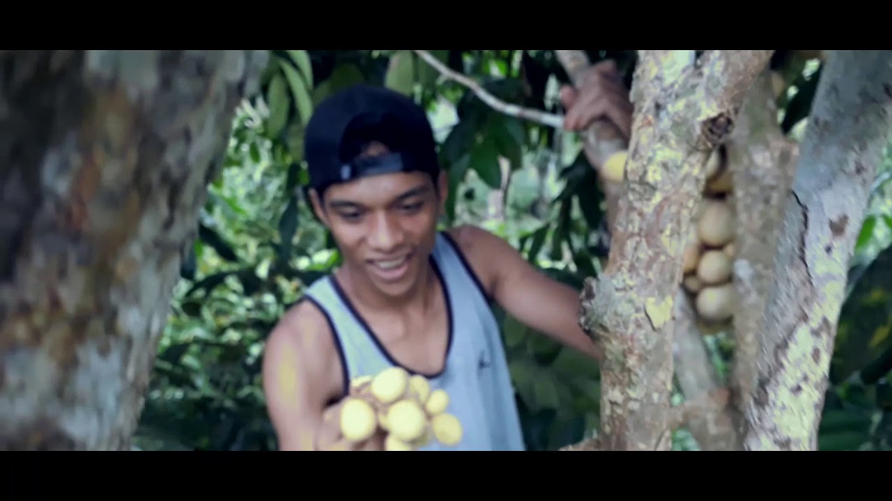 ngeddoh buwahan prproj - YouTube