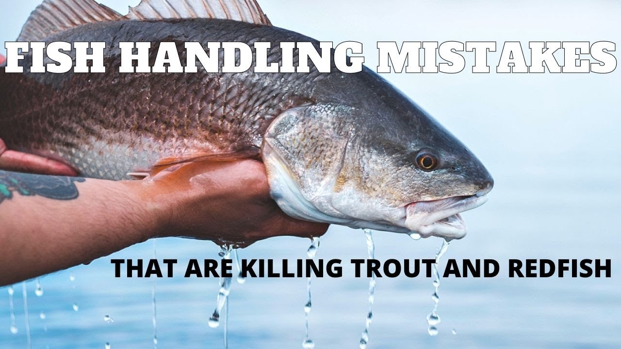 FISH HANDLING MISTAKES That Are Killing Trout And Redfish - YouTube