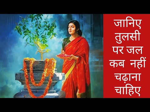 Tulsi per jal kab nahi chadana chaliye | तुलसी पर जल चढ़ाने की विधि | तुलसी पर जल चढ़ाने के नियम |