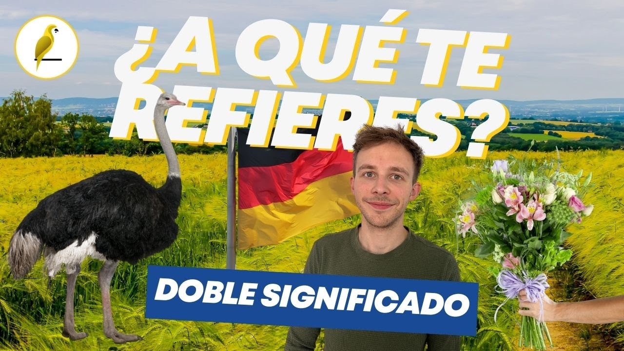 Palabras EN ALEMÁN que se escriben igual pero tienen significados ...