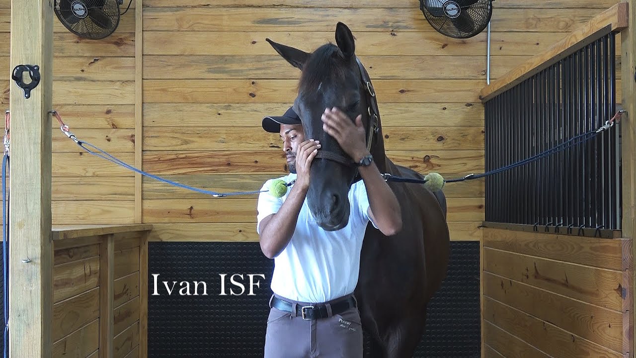 Ivan ISF is "itching" to meet you! :) June 2020 - SOLD - YouTube