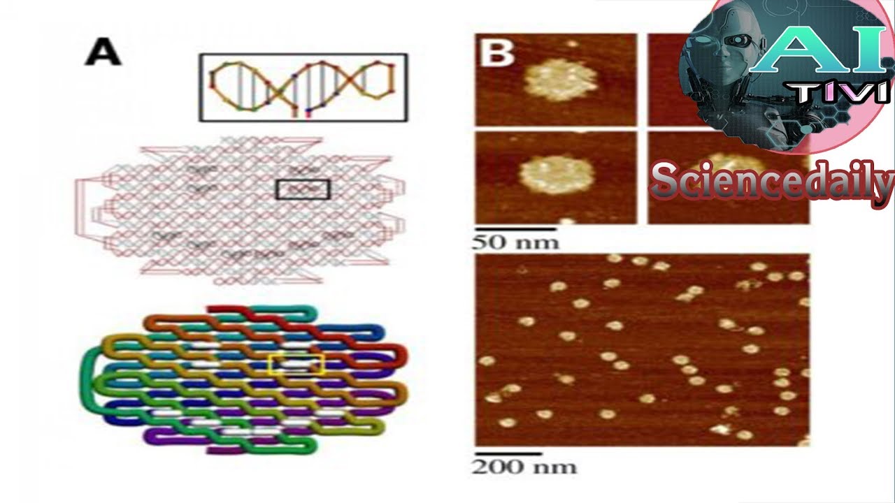 Spaghetti-like DNA 'noodle origami' the new shape of things to come for ...