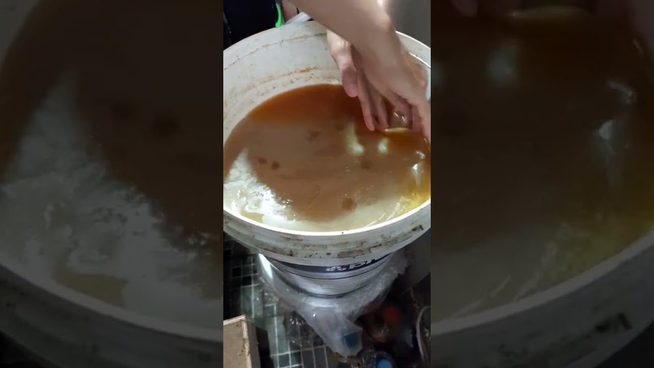 Mama enzyme dari eco enzyme - YouTube