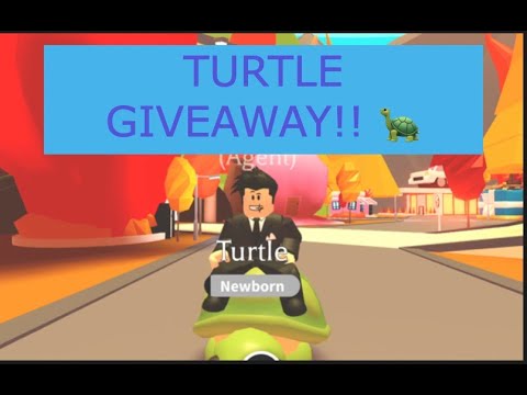 🐢ADOPT ME TURTLE GIVEAWAY FOR 100 PEOPLE! 🙀 (ROBLOX ADOPT ME) - YouTube