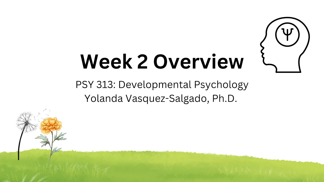 Week 2 Overview - YouTube