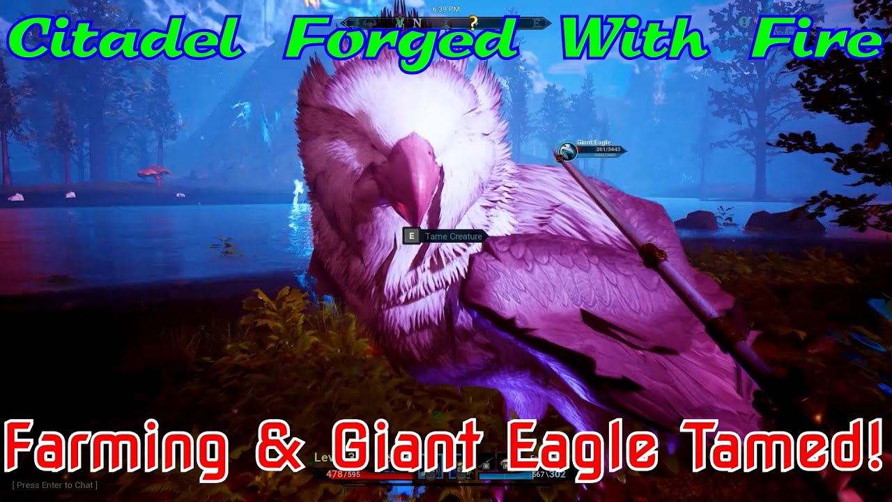 Farming & Giant Eagle Tamed! Citadel Forged With Fire Gameplay Ep-36 ...